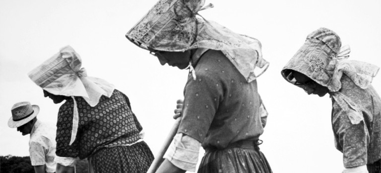 Photo Friday | Inside Alberta's Seclusive Hutterite Colonies - NFB Blog