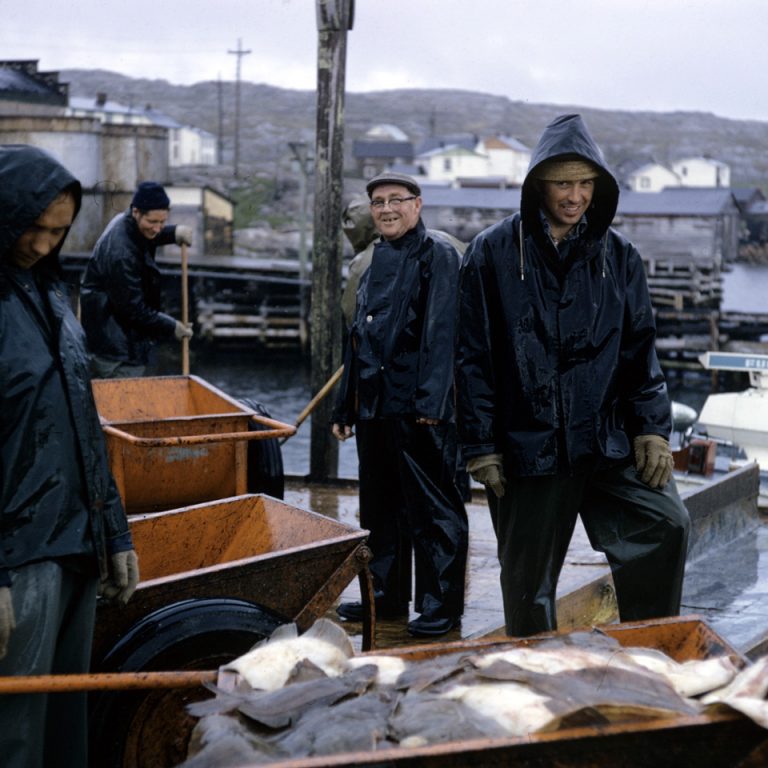 Photo Friday | Colin Low's Fogo Island In Colour - NFB Blog