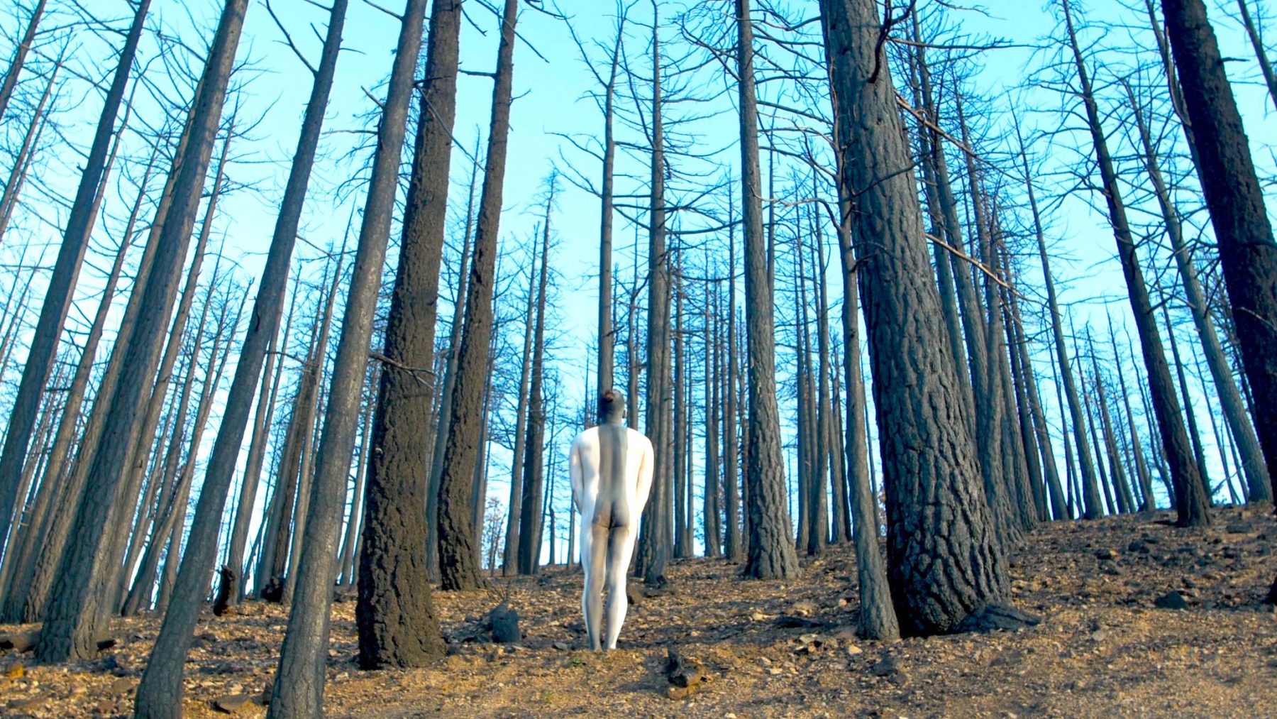 NFB: Crucible for the Creative Feature Doc - NFB Blog