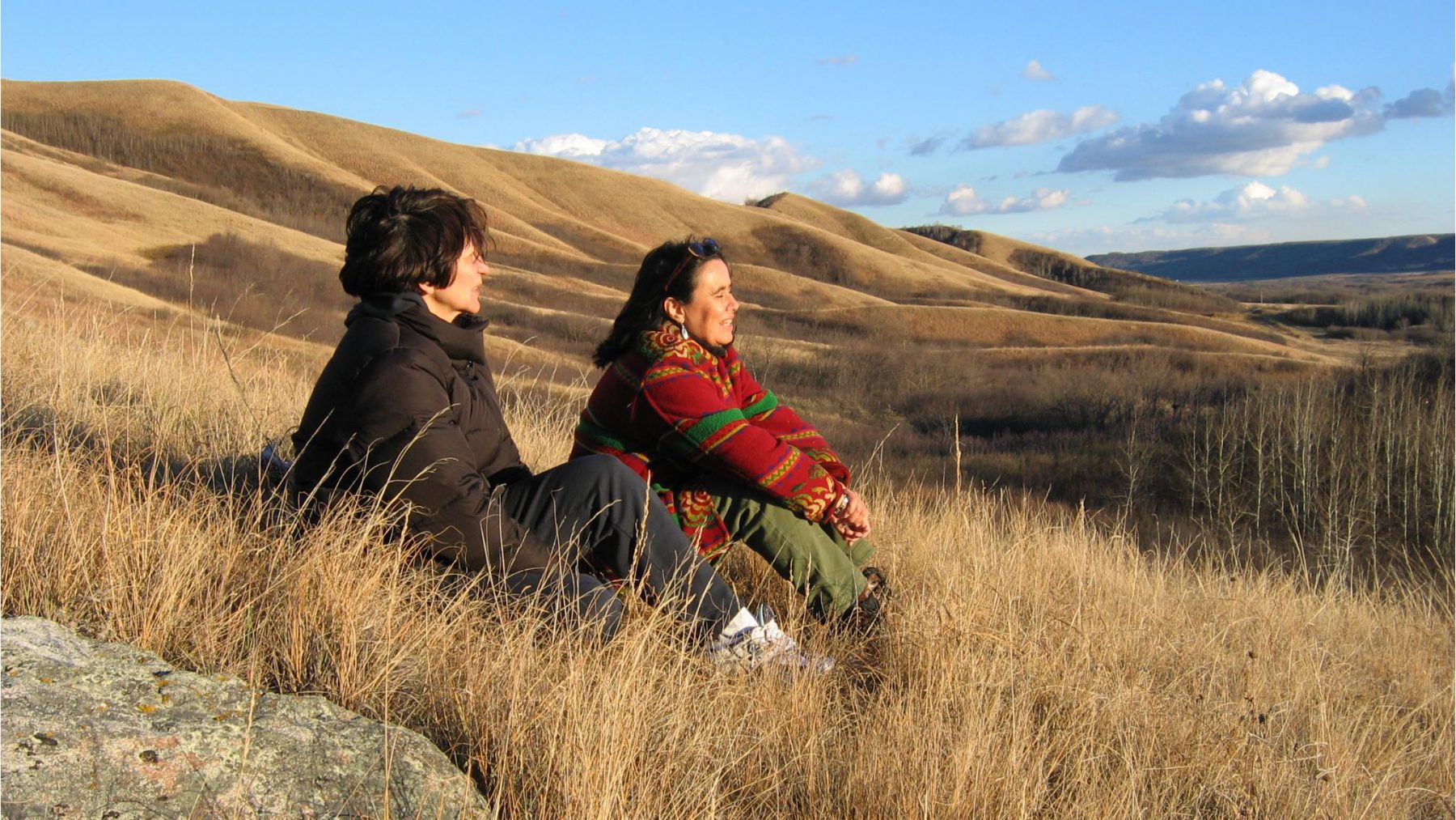 This Week on NFB.ca: Watch 4 Films That Take on the Issue of Violence Against Women - NFB Blog