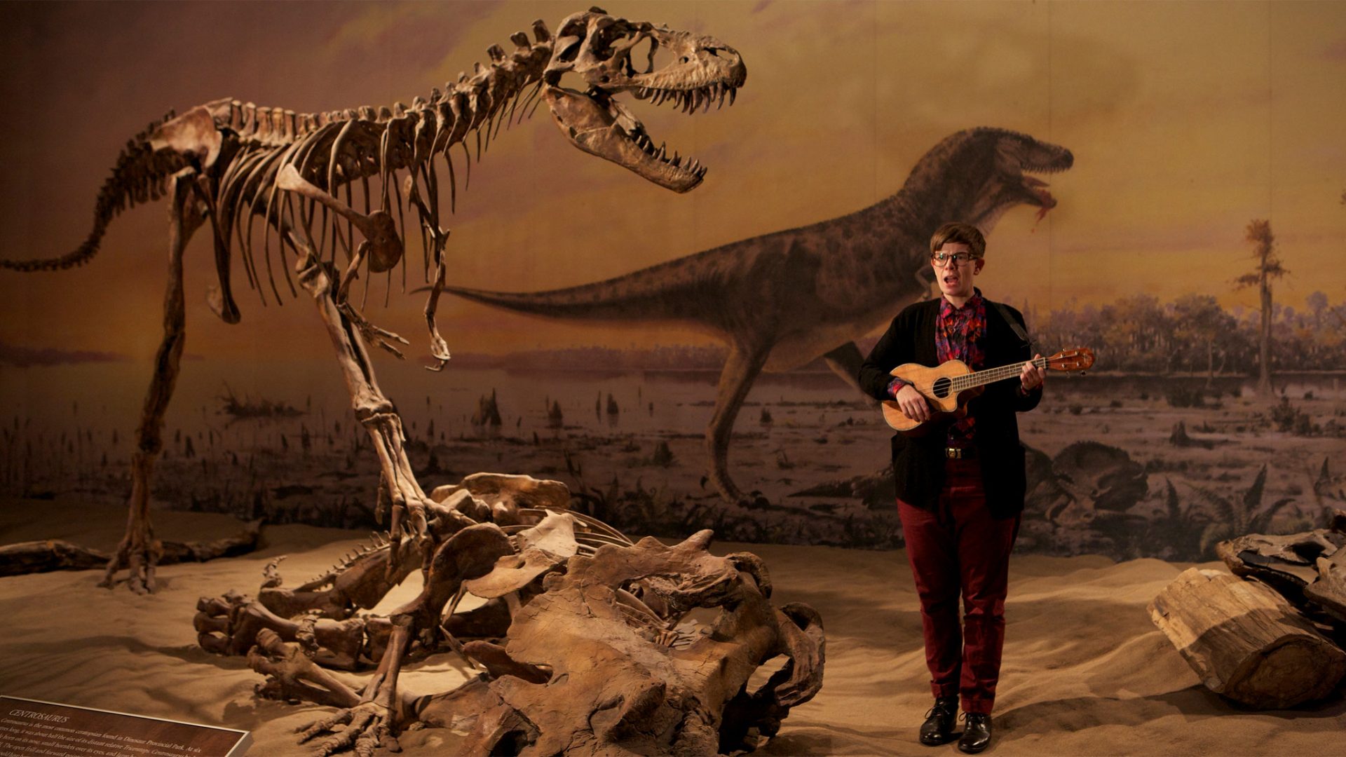 Mini-Lesson for My Prairie Home - NFB Blog