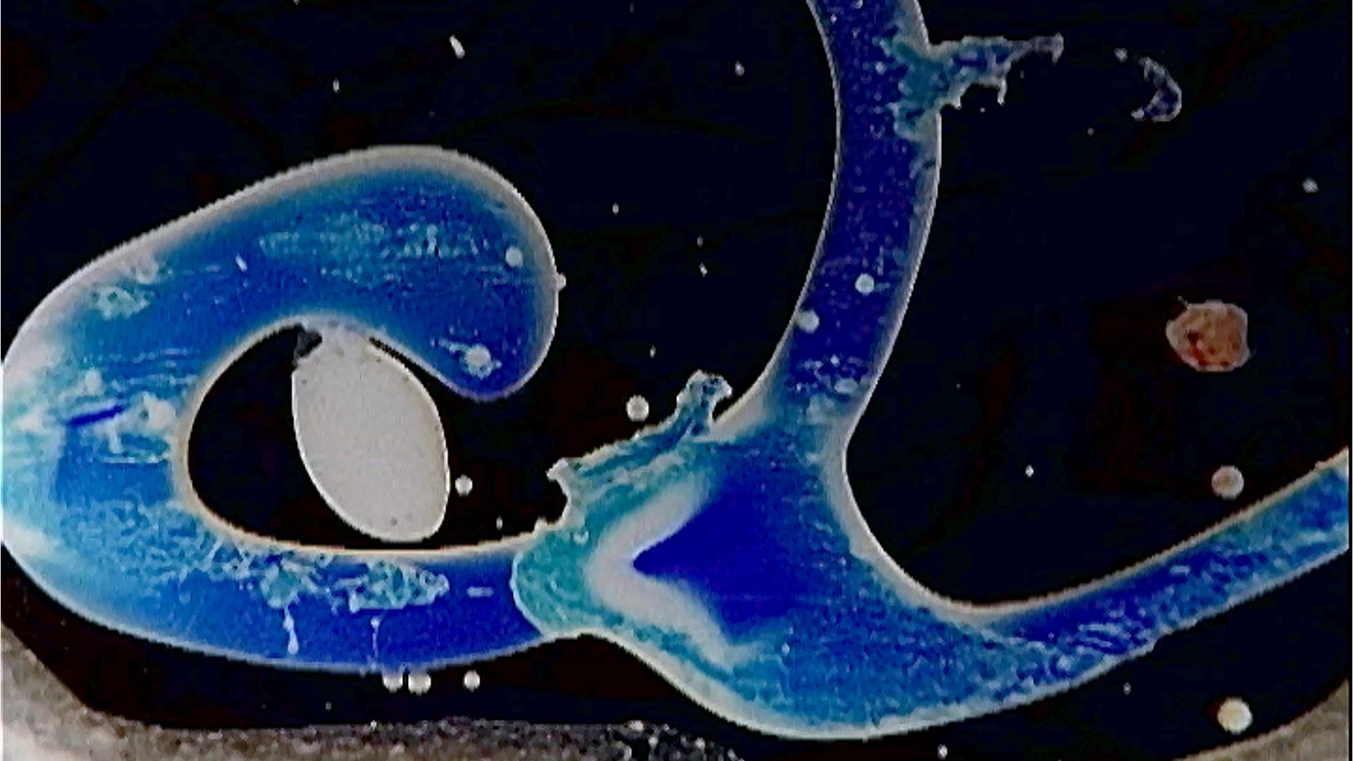 NFB Blog - Documentary, animation and interactive productions